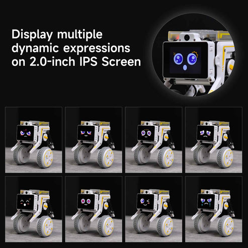 Rider-Pi Two Wheel-legged Robot Car Kit (Raspberry Pi CM4 core module)