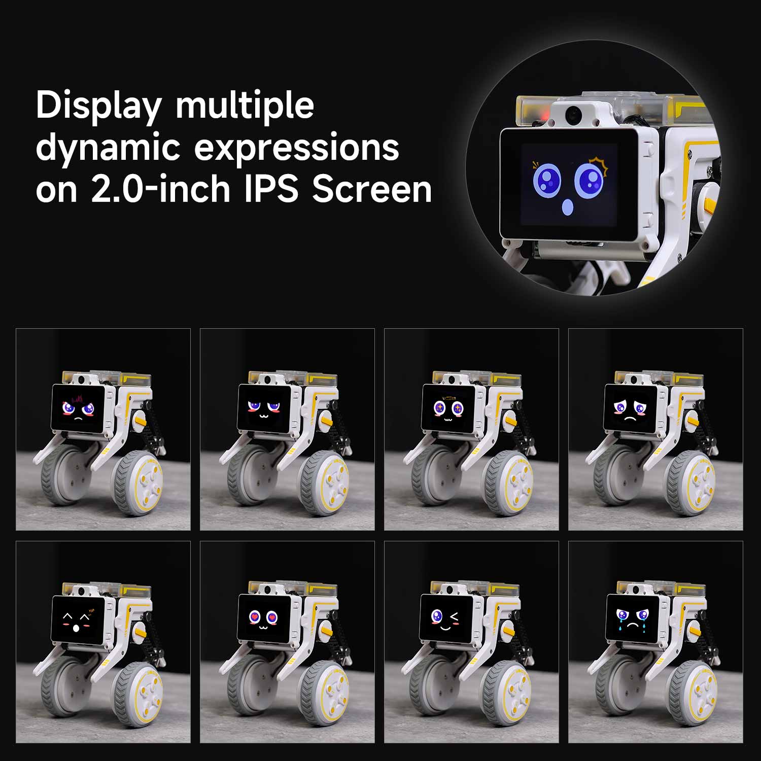 Rider-Pi Two Wheel-legged Robot Car Kit (Raspberry Pi CM4 core module)