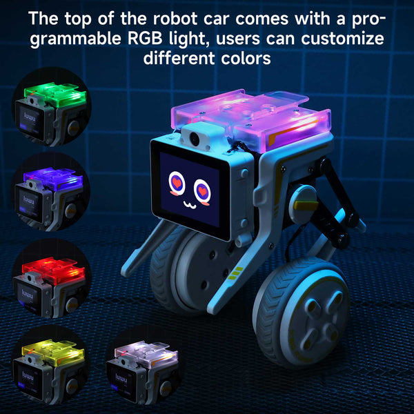 Rider-Pi Two Wheel-legged Robot Car Kit (Raspberry Pi CM4 core module)