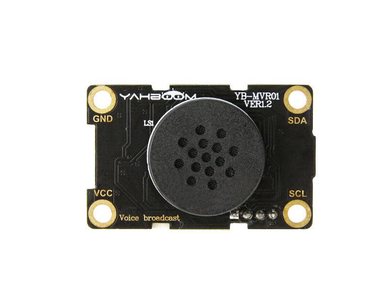 A-MIC/Voice module